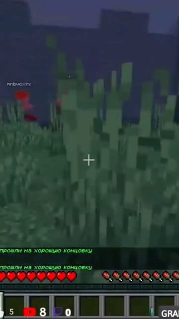 Minecraft Лучшее #1350