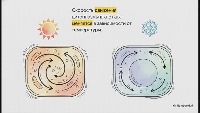 Биология 6 класс параграф 4 ЖИЗНЕДЕЯТЕЛЬНОСТЬ КЛЕТКИ ЕЁ ДЕЛЕНИЕ И РОСТ