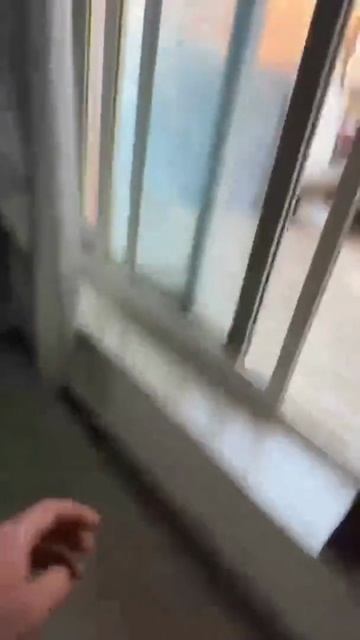 Юмористические кадры наших пушистых котиков: прыжки, дурачество и море позитива!