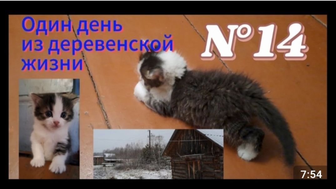 N°14. ДЕНЬ ИЗ НАШЕГО МИРА. #жизньвдеревне #домвдеревне #изгородавдеревню #дача #хутор