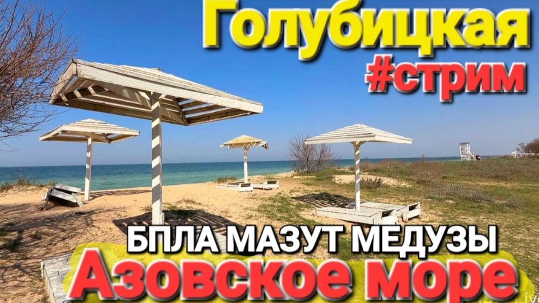 05.04.2026 #стрим Южный берег Азовского моря Погуляем в прямом эфире #Голубицкая