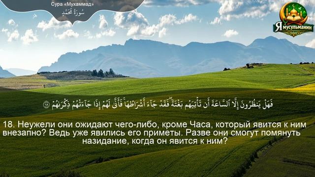 Сура Мухаммад Коран напоминание для размышляющих