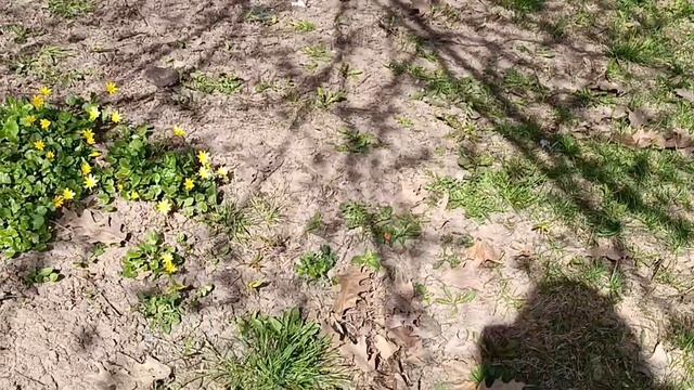 Привет весна