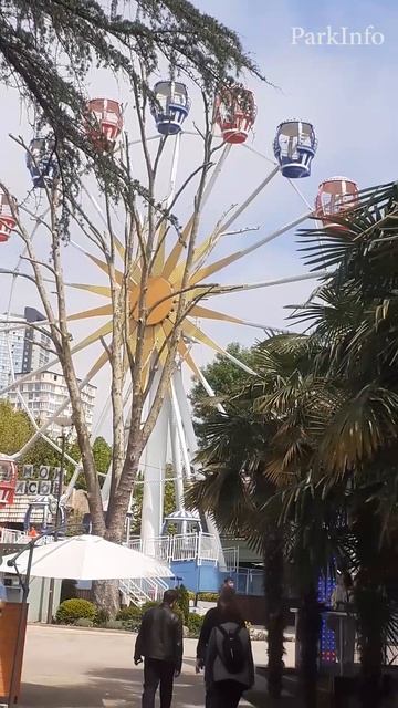 Цветение розового каштана в сочинском парке «Ривьера»