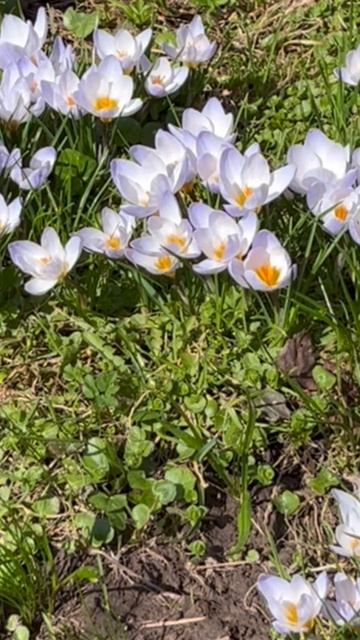 Местами весна пришла…, а где-то только намекает