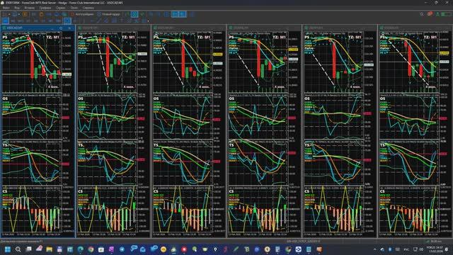 13.02.2026. Влияние NFP на курсы USDCAD, USDCHF, USDCNH, USDDKK, USDJPY, USDSEK. Дисплей S08-USD