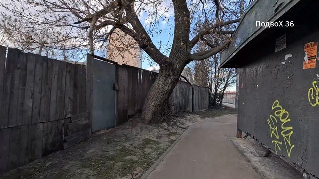 05.04.26 Велопрогулка Воронеж,гуляем ,прогулка,велосипеды .