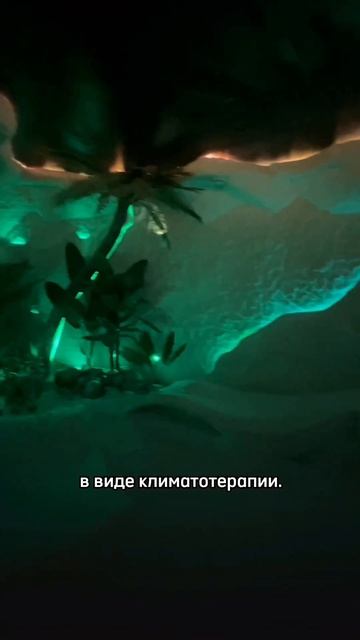 Кабинеты и зоны GREEN HOUSE SPA