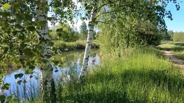 Чудотворный напев