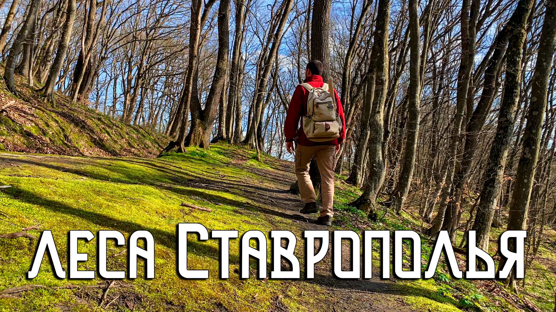 Татарское Городище / Эко тропа вся в первоцветах / Леса Ставрополья