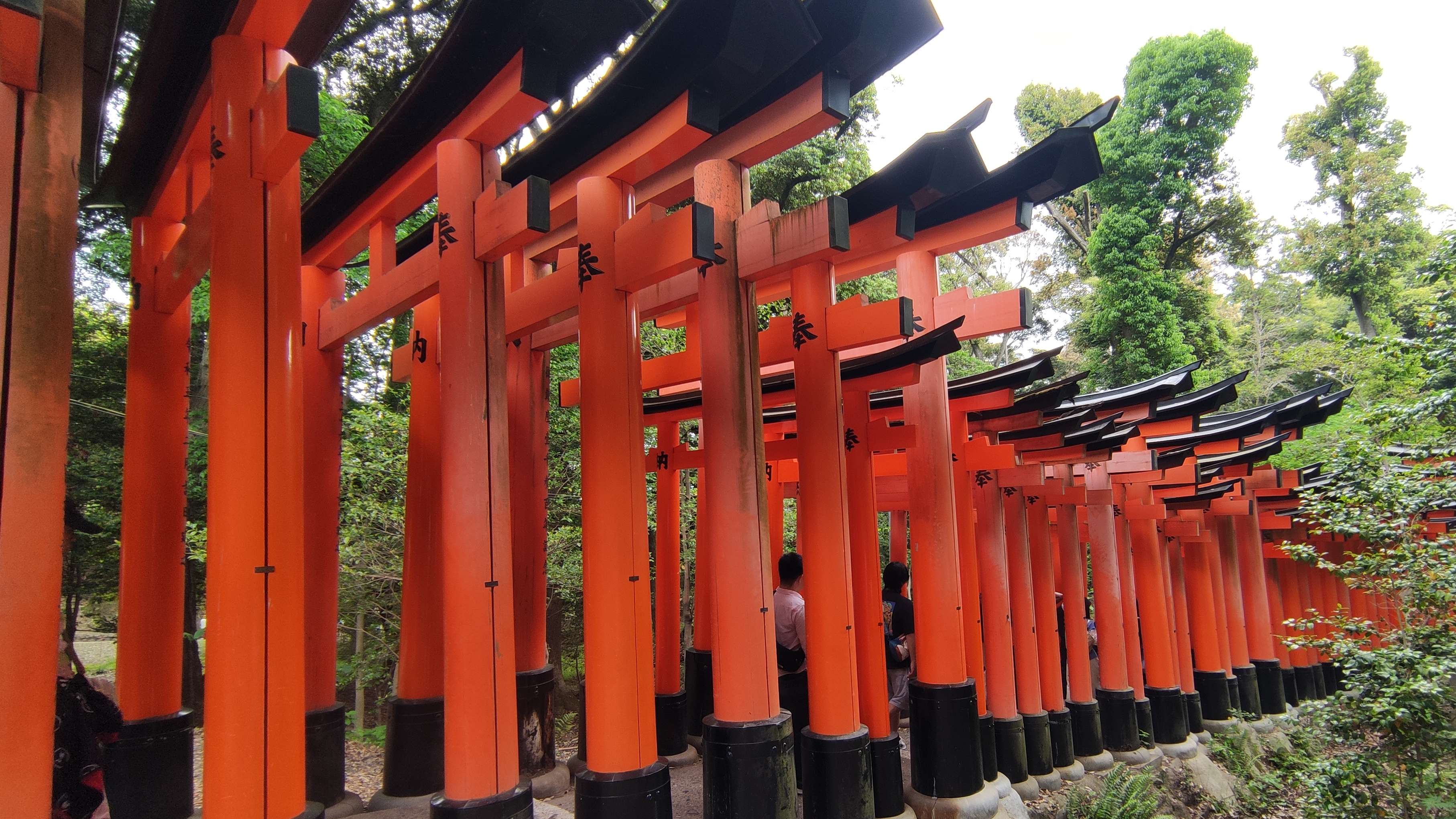 6. Сэндзоку Тории - тысячи красных ворот (Киото, Япония) Senzoku Torii (Kyoto, Japan), 千束鳥居 (京都、日本)