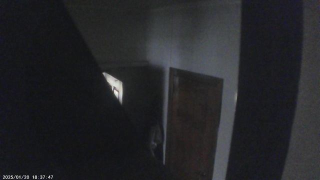 Трезвон к Евангелию на дистанционном управлении