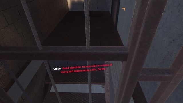 SF 1 (подолжение следует)