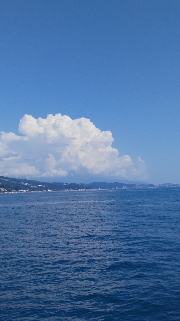 KISS ME - BUTTERFLY - PATRICK - ПРИПОДНЯТАЯ