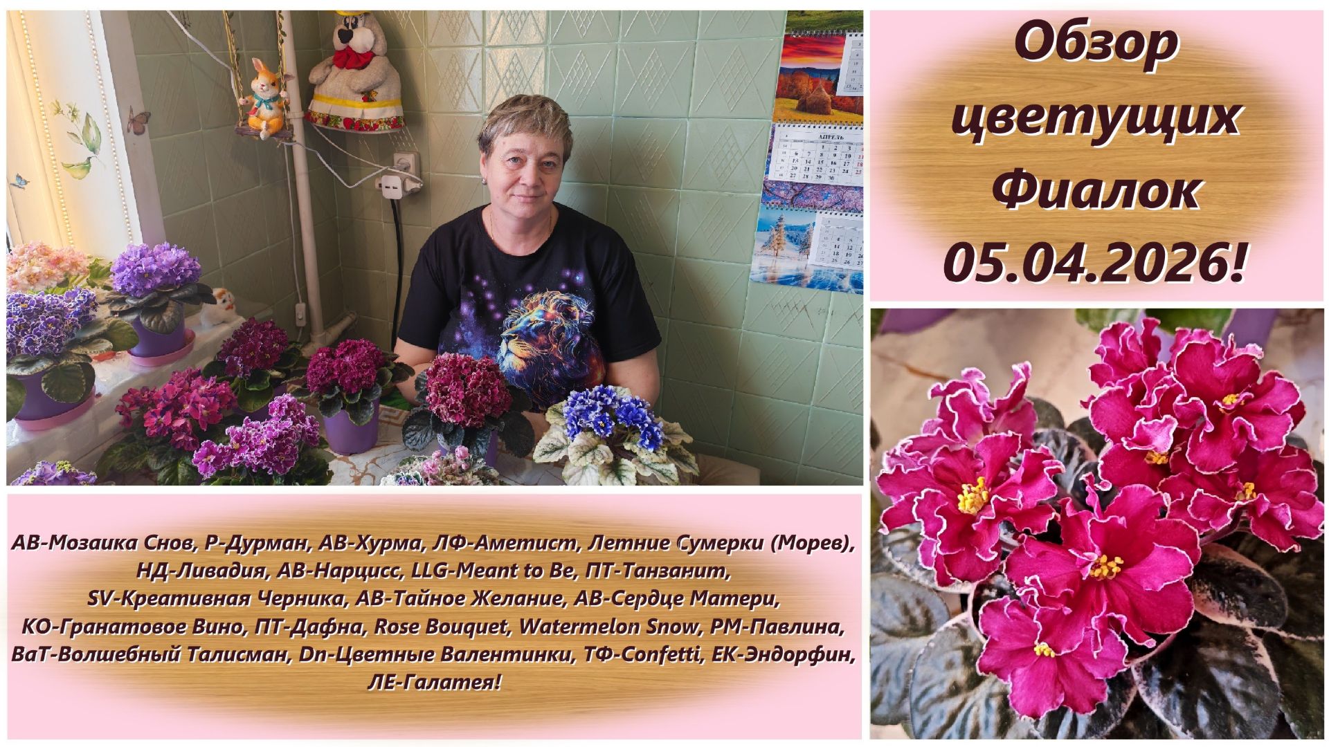 Обзор цветущих Фиалок 05.04.2026!
