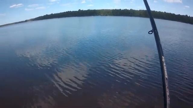 Ловля фидерной снастью отдых на рыбалке [get.gt]