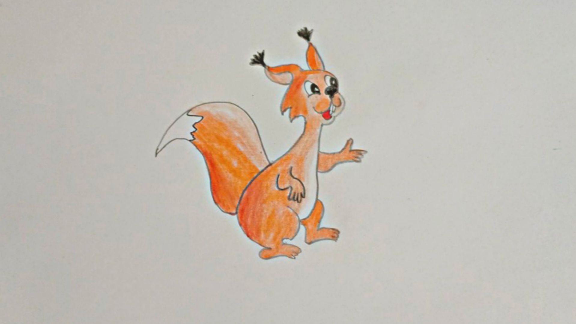 Как нарисовать милую Белку или Белочку цветными карандашами поэтапно. Рисуем Белку карандашом