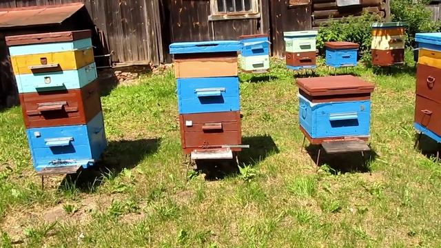 Ослабленные семьи месяц спустя