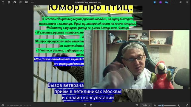 Юмор про птиц. Выпуски 26-30.