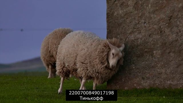 Фиксики