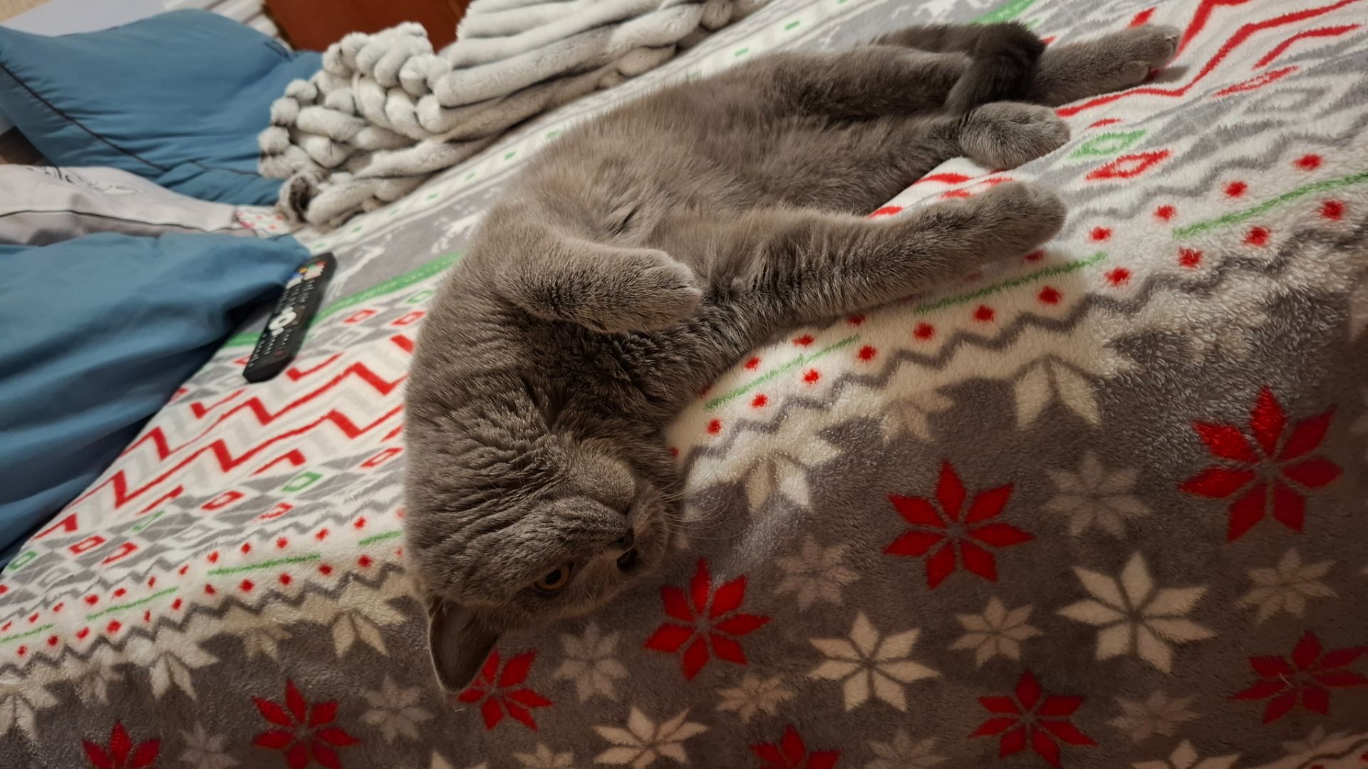 Кот захотел водички из под крана 🤣