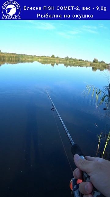 Блесна-вертушка AQUA Fish Comet. Рыбалка на окуня.