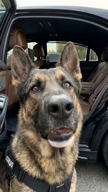 Безопасность начинается с бдительности!