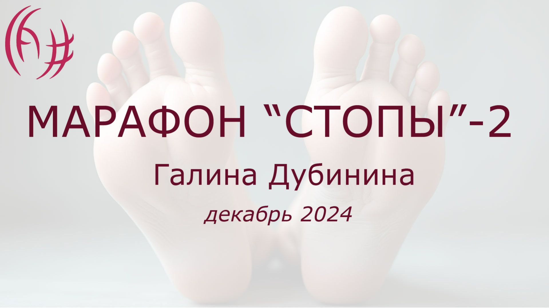 Марафон  декабрь -24.  Стопы-2. Галина Дубинина