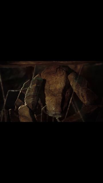 Трейлер Мстители: Доктор Дум (США, 2026) дублированный