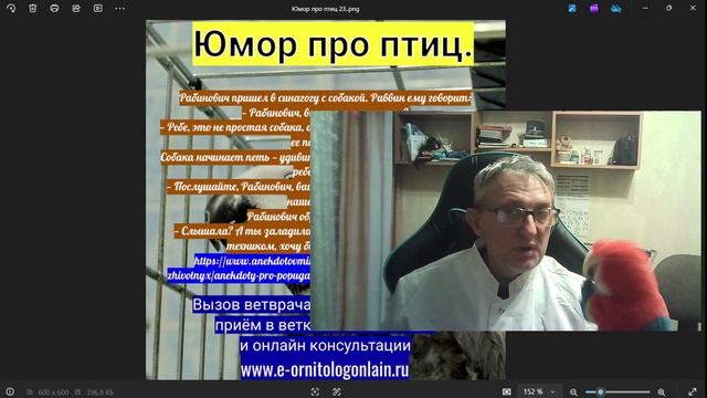 Юмор про птиц. Выпуски с 21 по 26-й.