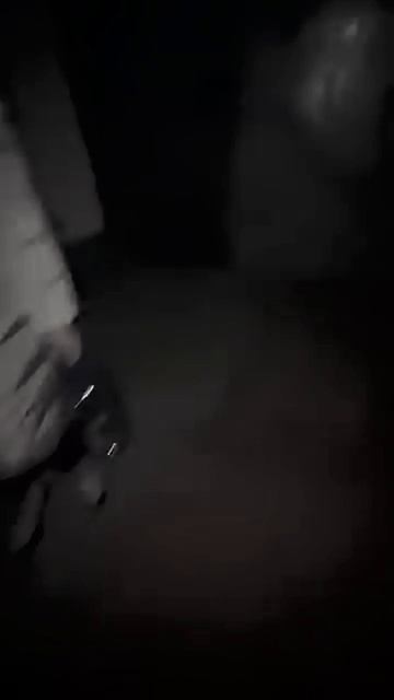 Мемные ролики