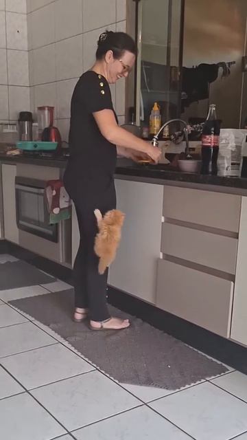 Он выбрал план Б