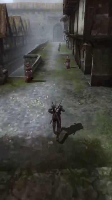 Нпс солидарны как никогда😁 #vilmarionv #gaming #games #game #witcher #oldgames #ведьмак #nostalgia