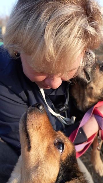 Весенние новости приюта: Гаврюшка и Витька, а также другие пушистые подопечные