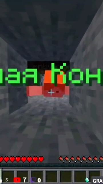 Minecraft Лучшее #1348