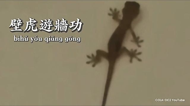 Сверхъестественные способности в кунг-фу — Искусство лёгкости (Цин гун)