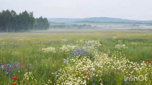 Цветы. Русская патриотическая песня. #музыка