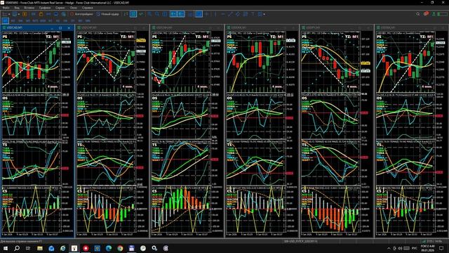 09.01.2026. Синхронные курсы USDCAD, USDCHF, USDCNH, USDDKK, USDJPY, USDSEK. Дисплей S08-USD