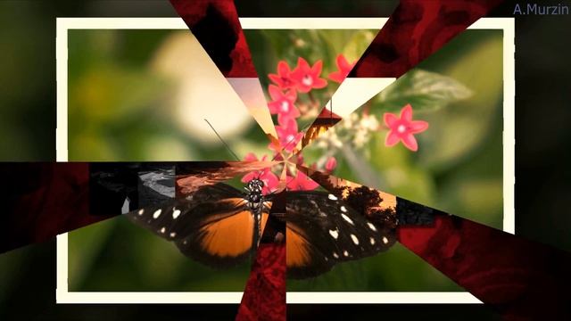 Messiah Project - A Kingdom Of  Heaven