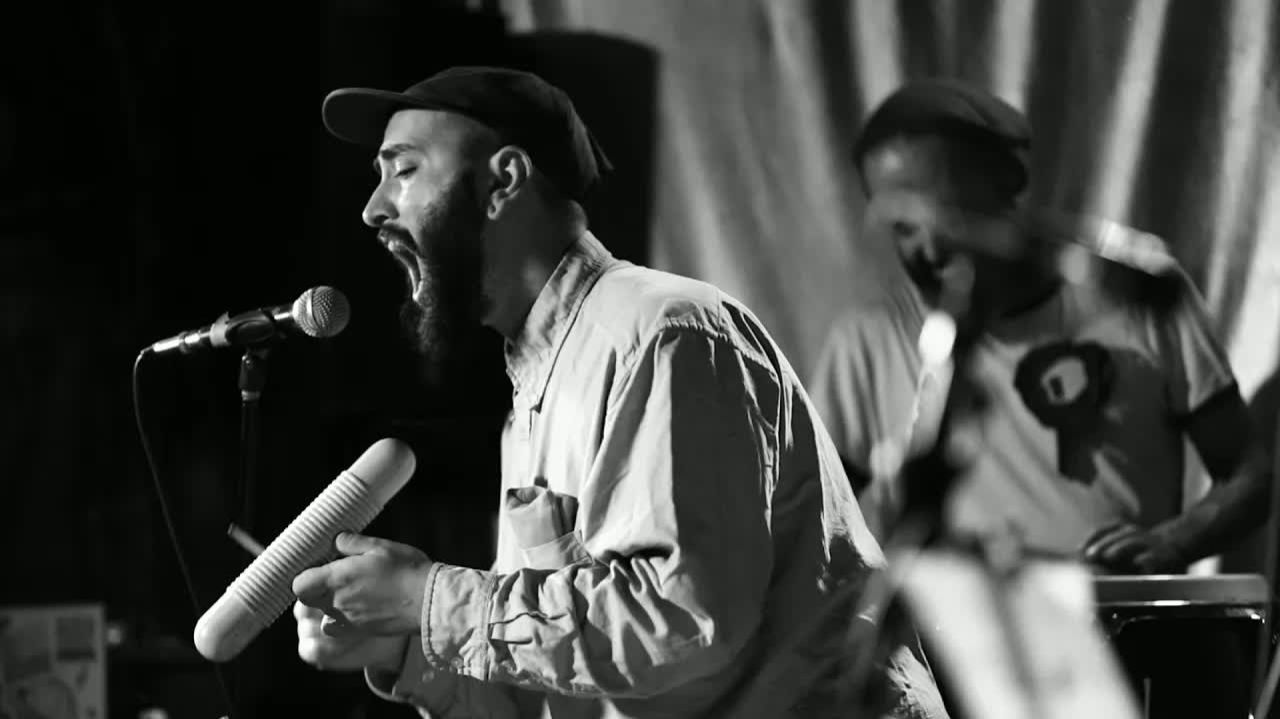 The Alien Dub Orchestra - Vine And Fig Tree