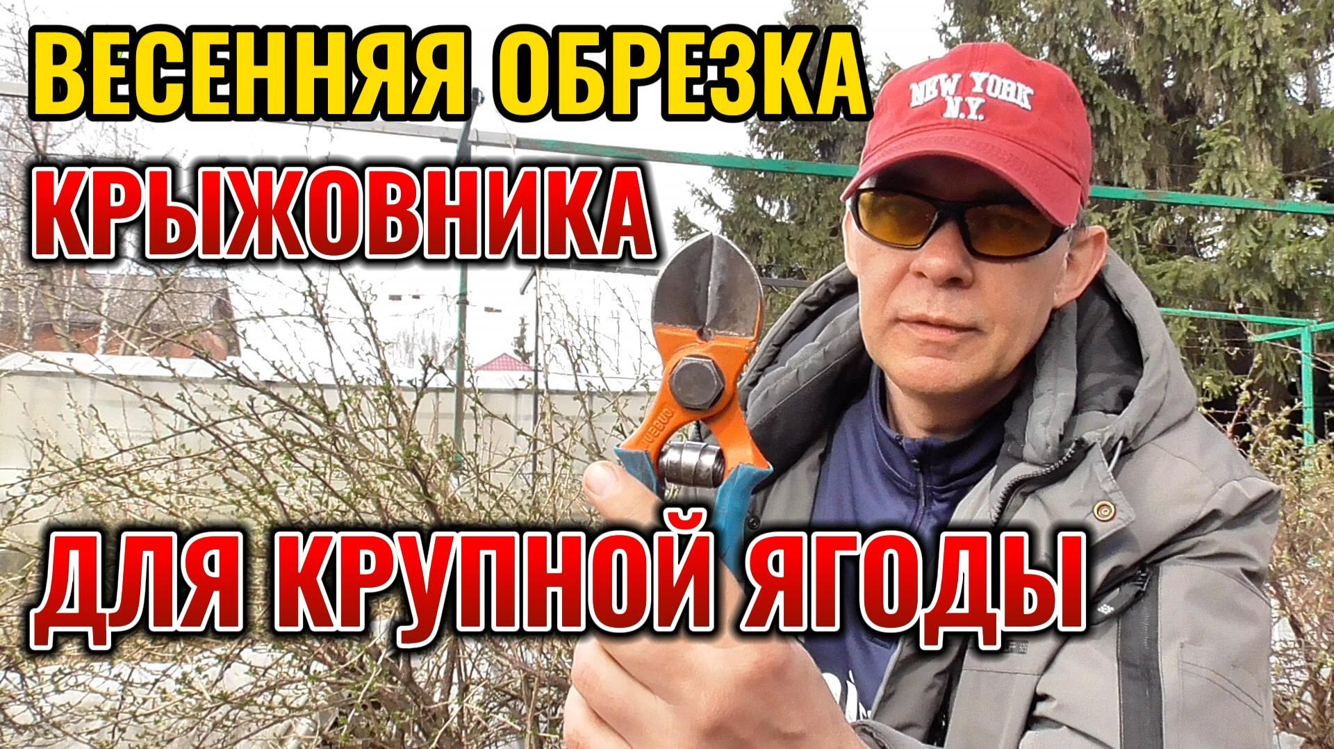 Попробуйте так обрезать КРЫЖОВНИК весной и он завалит вас крупной ягодой летом