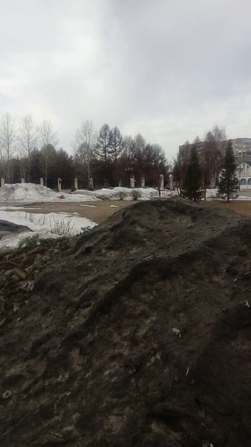 05.04.26. Вербное воскресенье