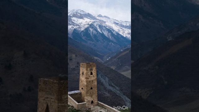 Чечня мой дом. Песня. #музыка