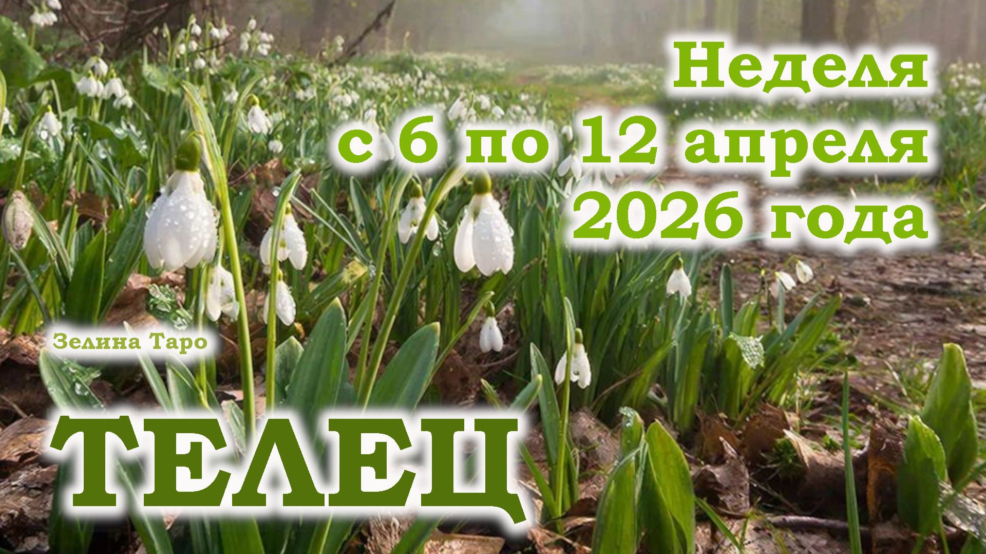 ТЕЛЕЦ | ТАРО прогноз на неделю с 6 по 12 апреля 2026 года
