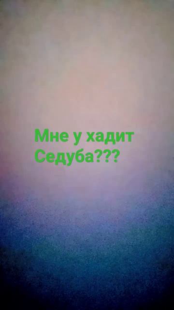 3 апреля 2024 г.