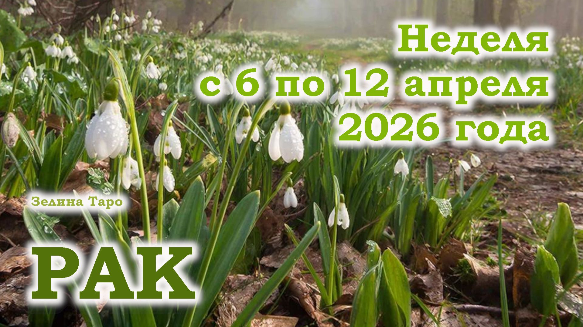 РАК | ТАРО прогноз на неделю с 6 по 12 апреля 2026 года