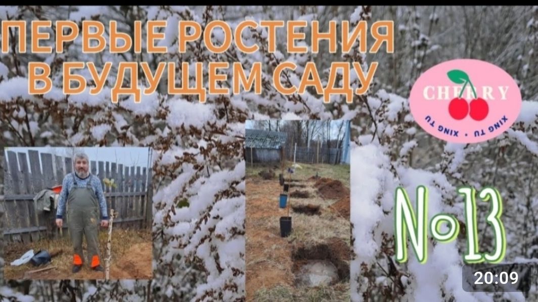 N°13. ЗАКЛАДЫВАЕМ СВОЙ САД.#домвдеревне #сад #малина #дача #хутор #изгородавдеревню