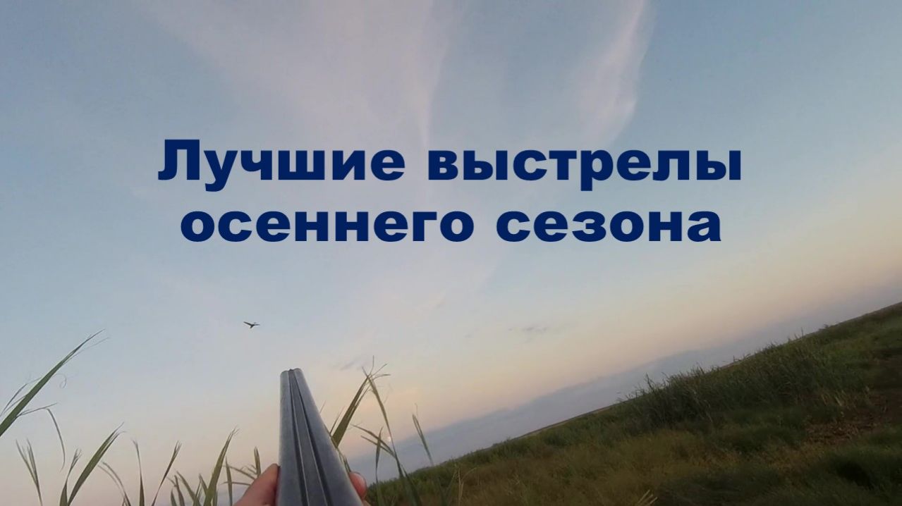 Лучшие выстрелы осеннего сезона