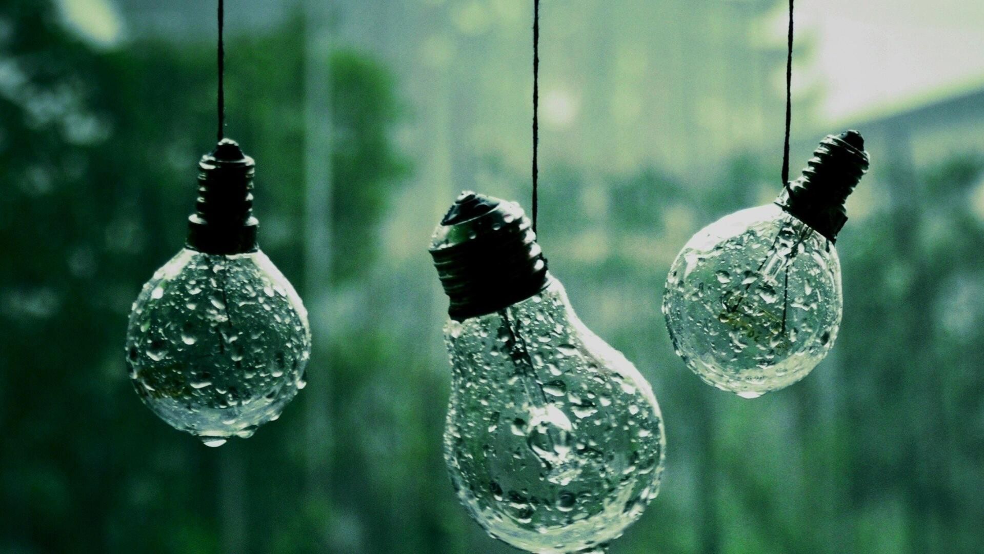 Шмели — Цвет дождя