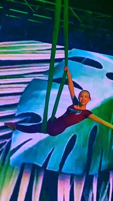 Юскаева Амина - Цирк, полотно